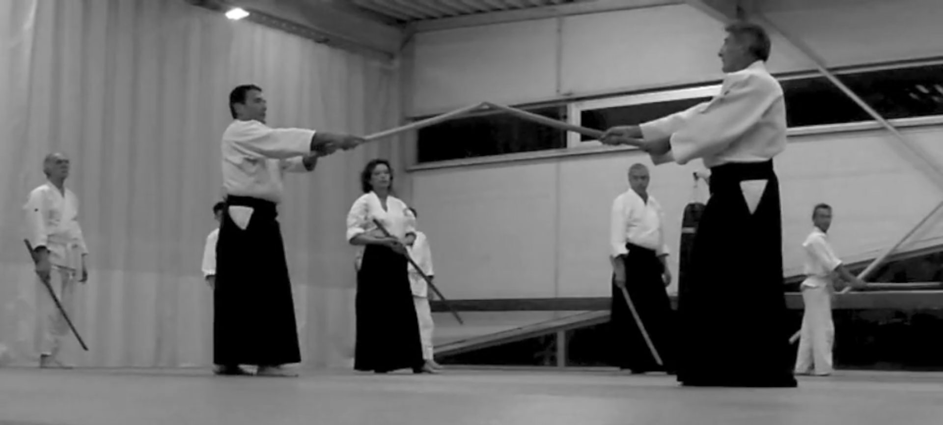 Pelle Daniel | Kobayashi Ryu Aikido